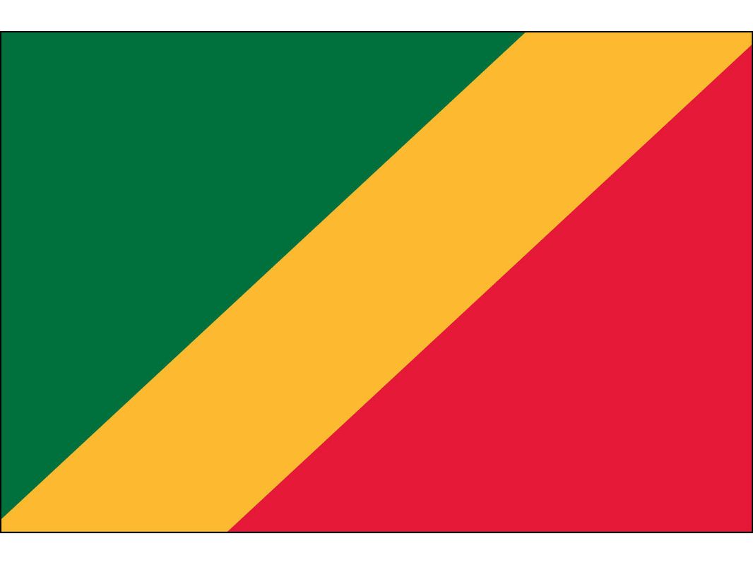 Congo Republic Flag for Outdoor Use • Flagsource Unlimited